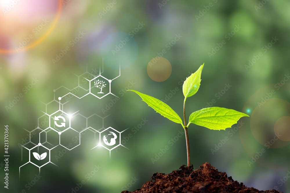 Fertilizer. Stock Photo | Adobe Stock