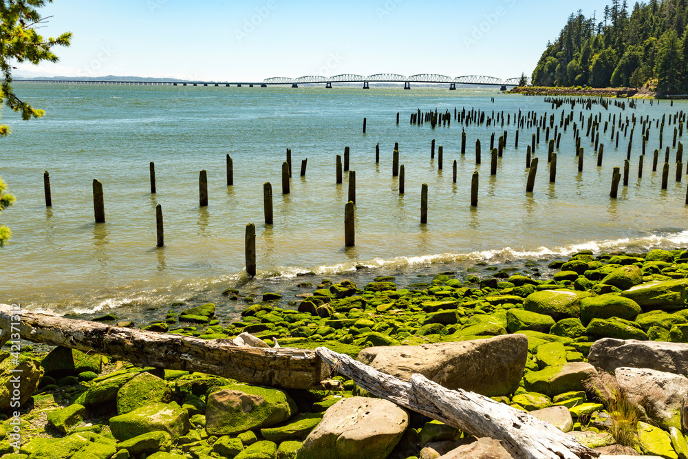 USA, Washington State, Megler. North Shore of the Columbia River ...