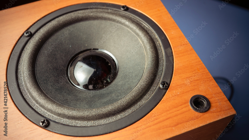 Large speaker doing a bass test. This kind of speaker is capable to ...