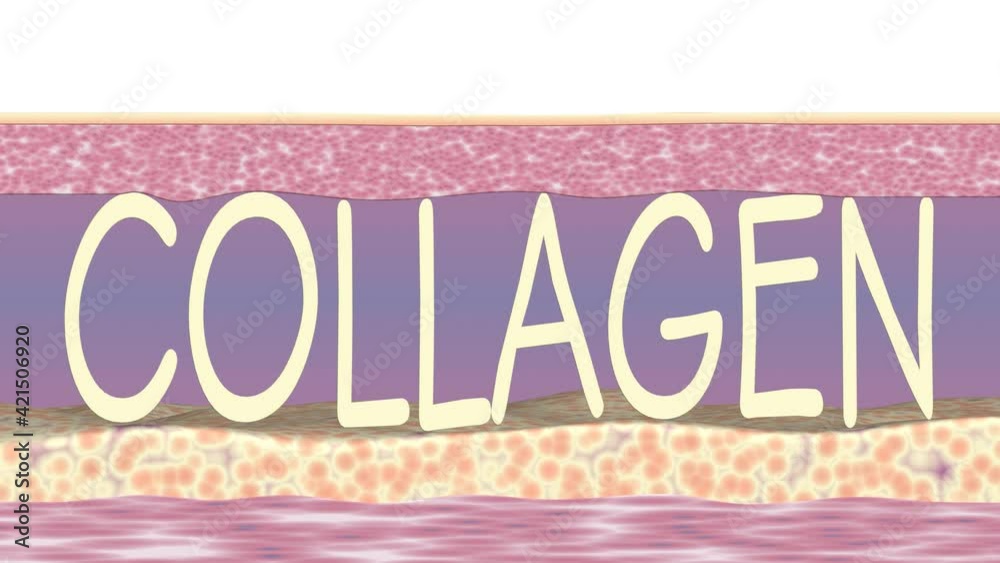 Video „Collagen fibers regeneration. Conceptual 3D animation. Result of ...