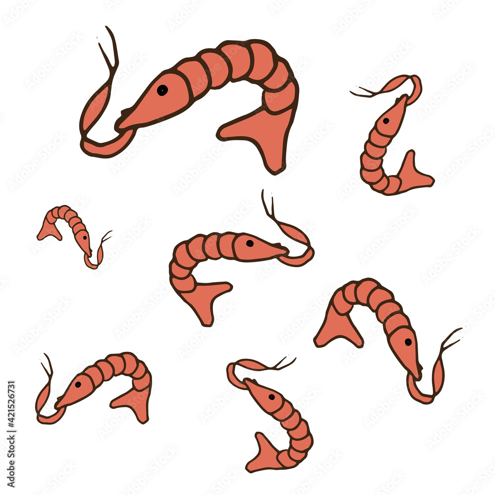 shrimp icon. repeat pattern. white background. orange pastel color ...