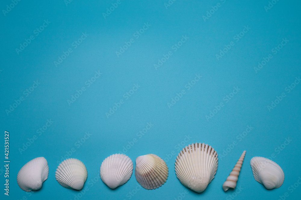 Sea shells on the blue background, with free space for text. Top view ...