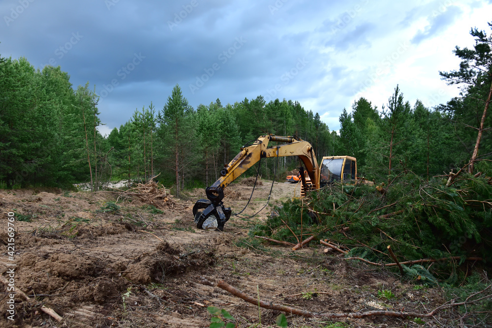 Excavator Grapple during clearing forest for new development. Tracked ...