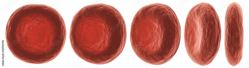 Red blood cells with different view . High detailed surface texture ...