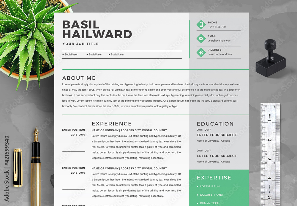 Professional Resume Layout Stock Template | Adobe Stock
