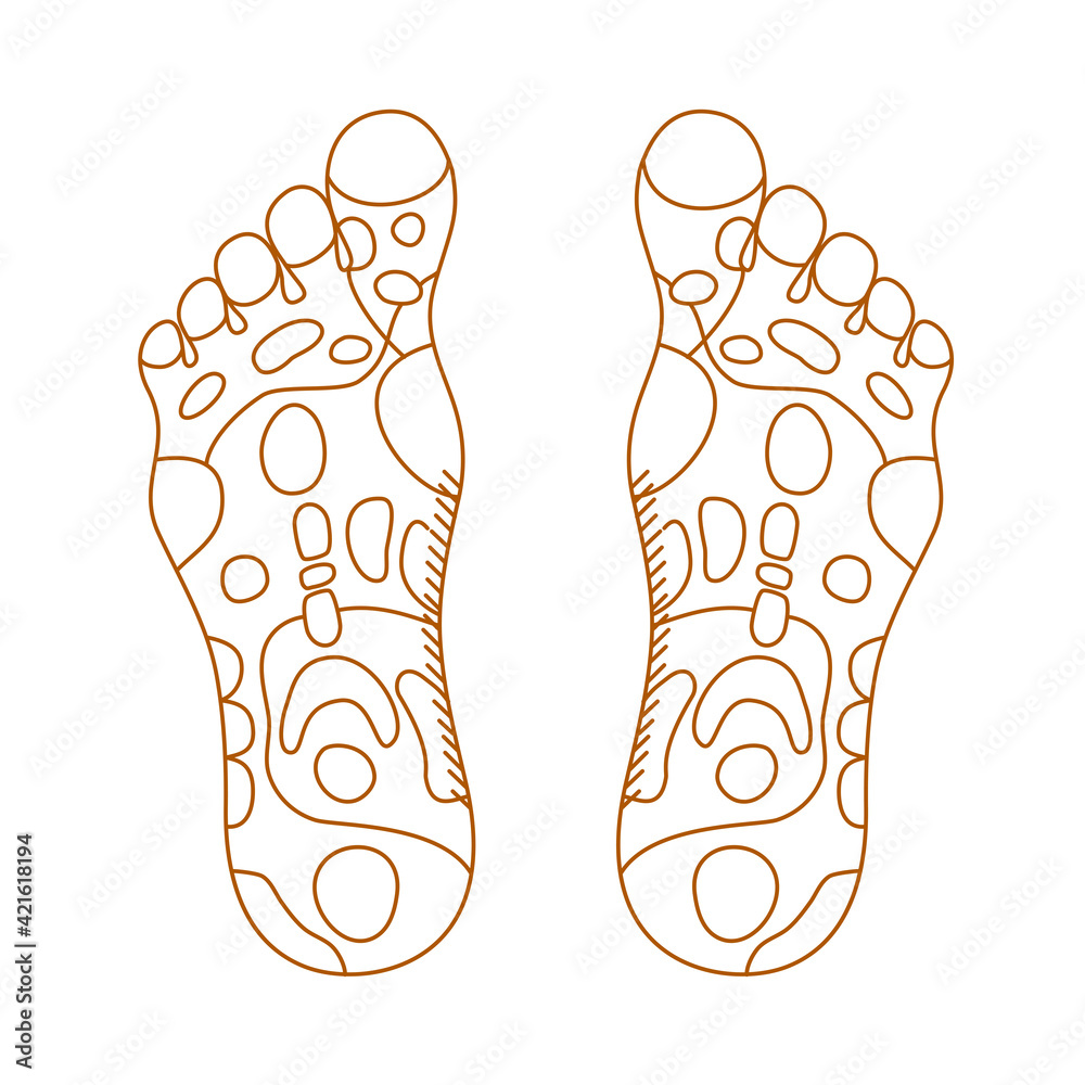 Feet, left and right with the designation of areas for Chinese ...