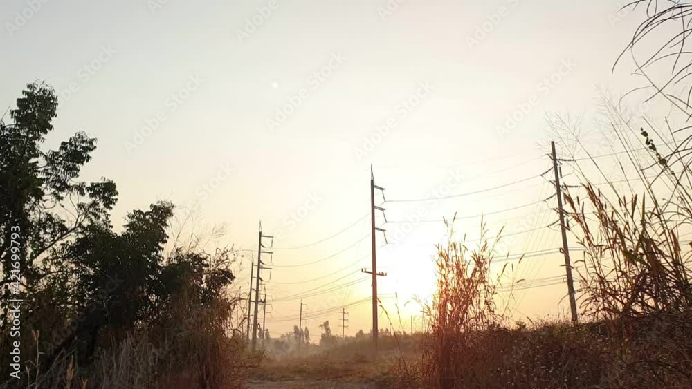 Electricity substation with green grass field in the morning light ...