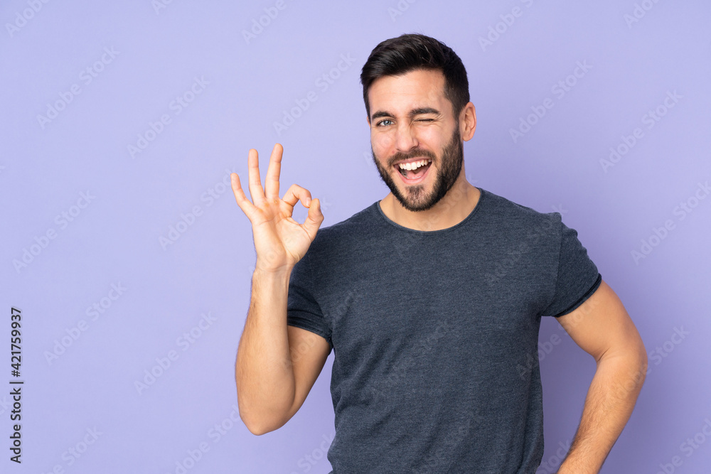 Caucasian handsome man showing ok sign with fingers over isolated ...