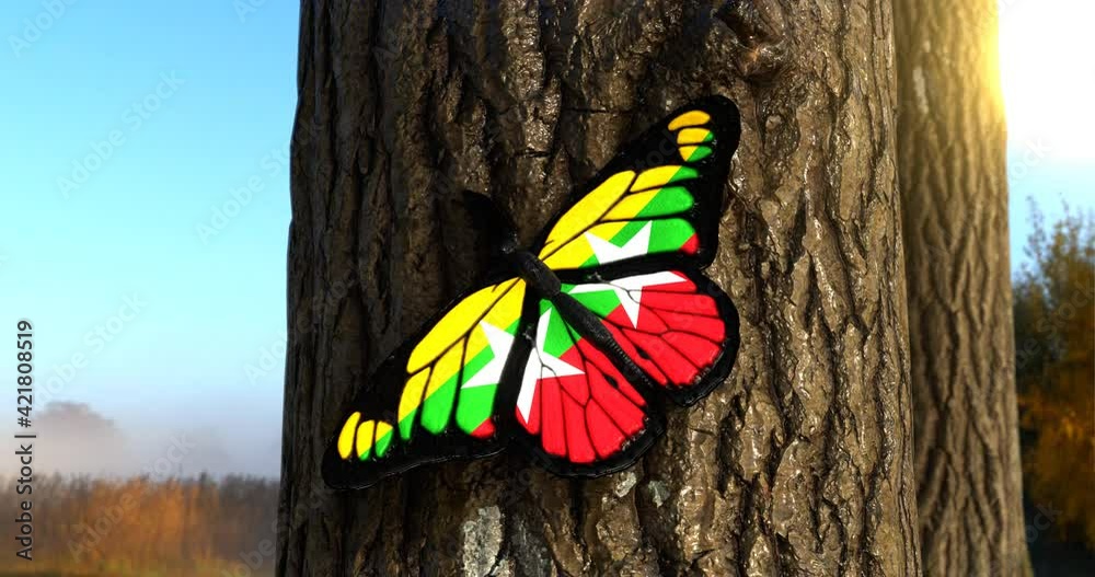 Flag of Myanmar on Butterfly Wings Realistic 4K UHD 60FPS Stock ビデオ ...