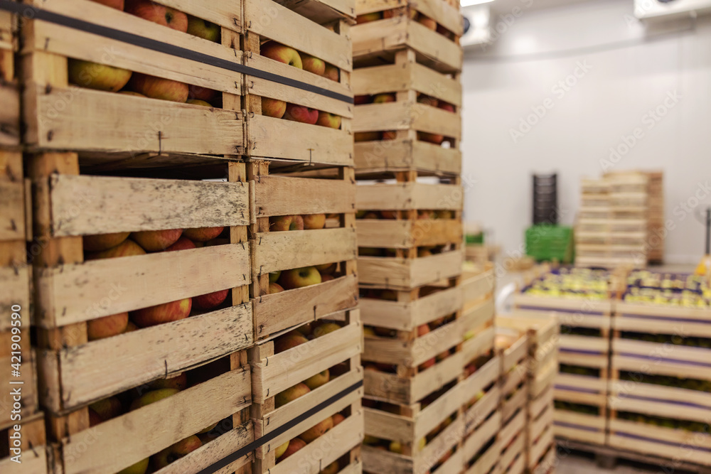 Fruits in crates ready for shipping. Cold storage interior. Stock Photo ...