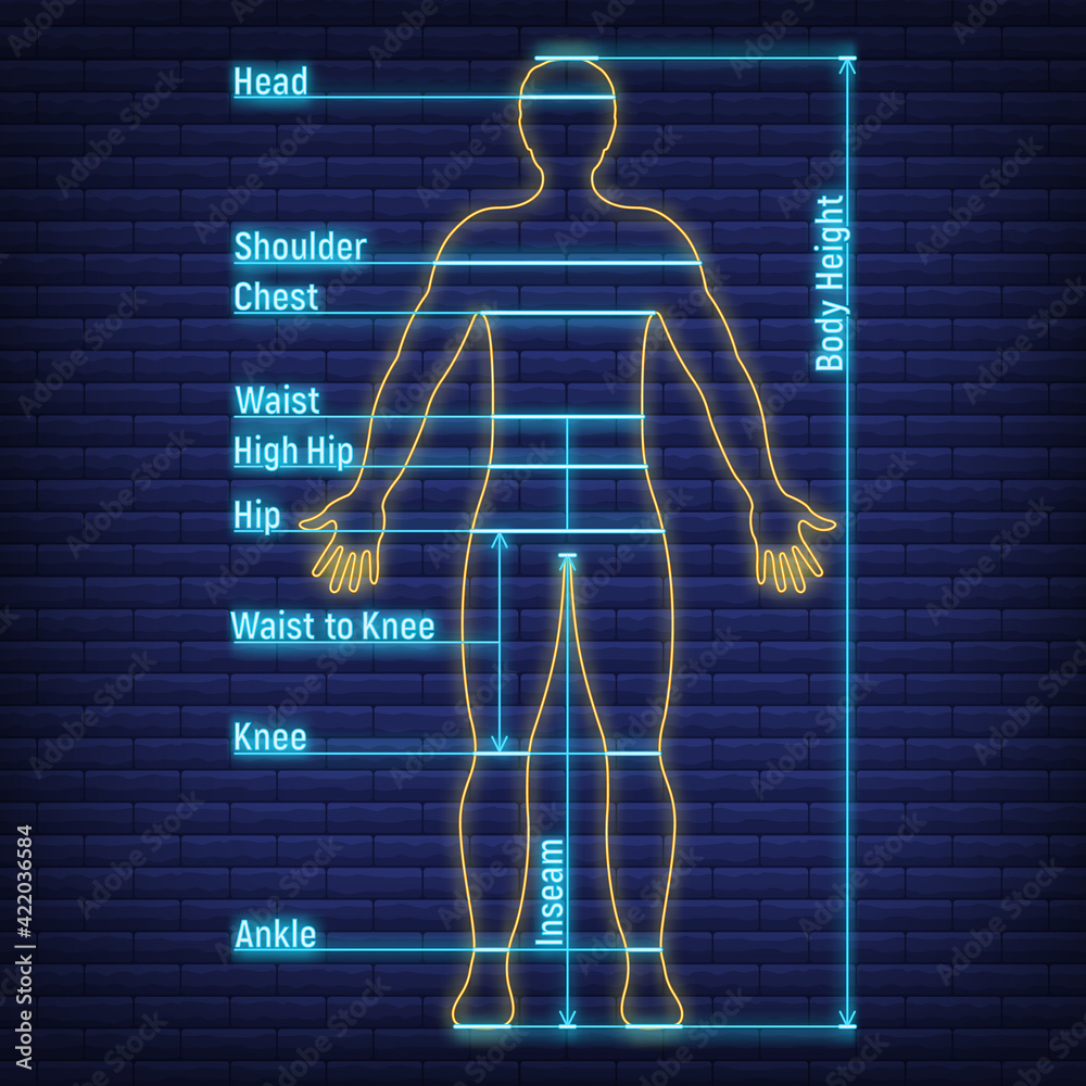 Female, male neon glow size chart anatomy human, people dummy front ...