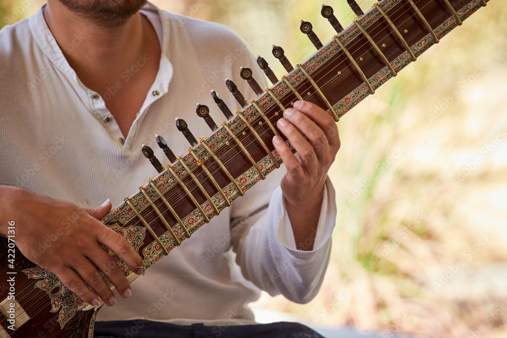 Close-up of a street musician playing Sitar Stock Photo | Adobe Stock