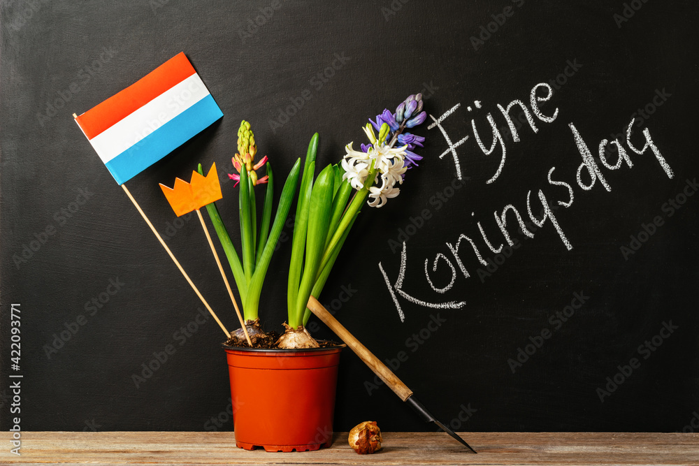 Koningsdag or King's Day is a national holiday in the Kingdom of the ...