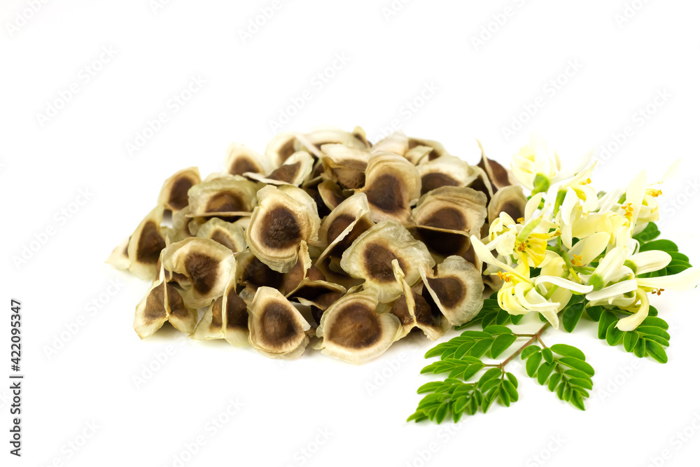 Pile of Moringa seed and moringa flower with leaf isolated on white ...