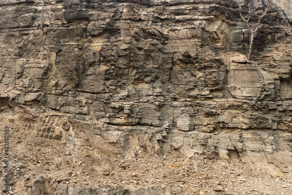The geological structure is consists of gneiss metamorphic rocks and ...