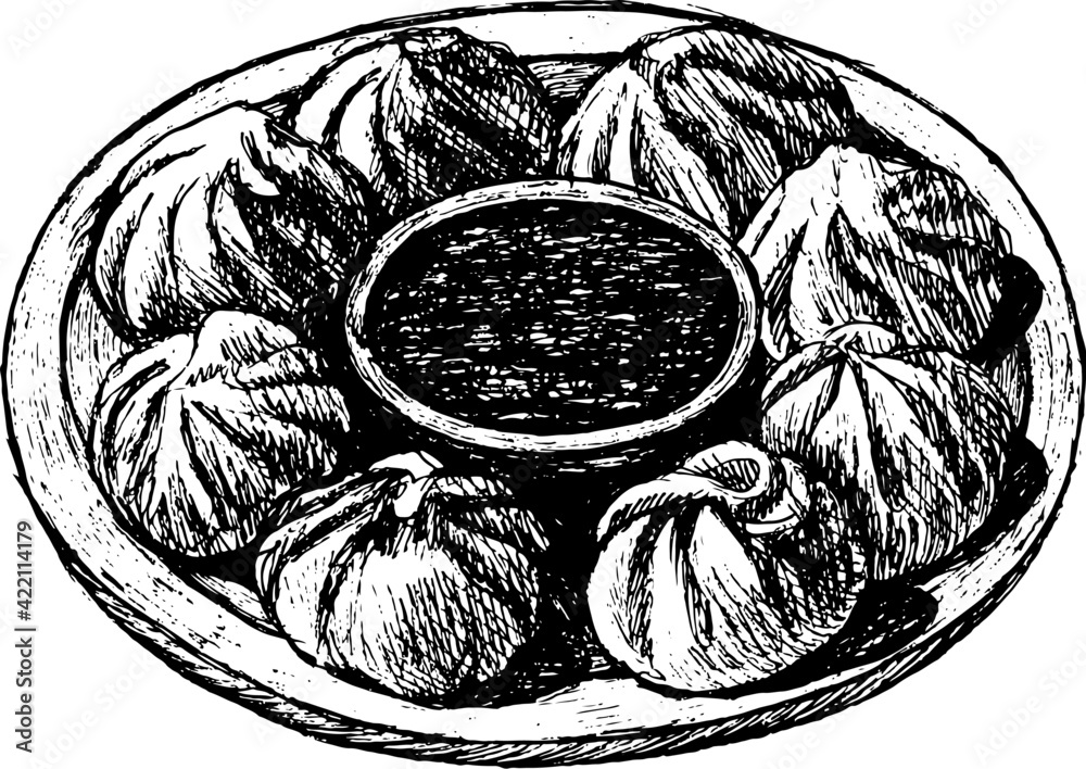 Momos - Nepal dumplings. Realistic sketch illustration. Chinese food ...