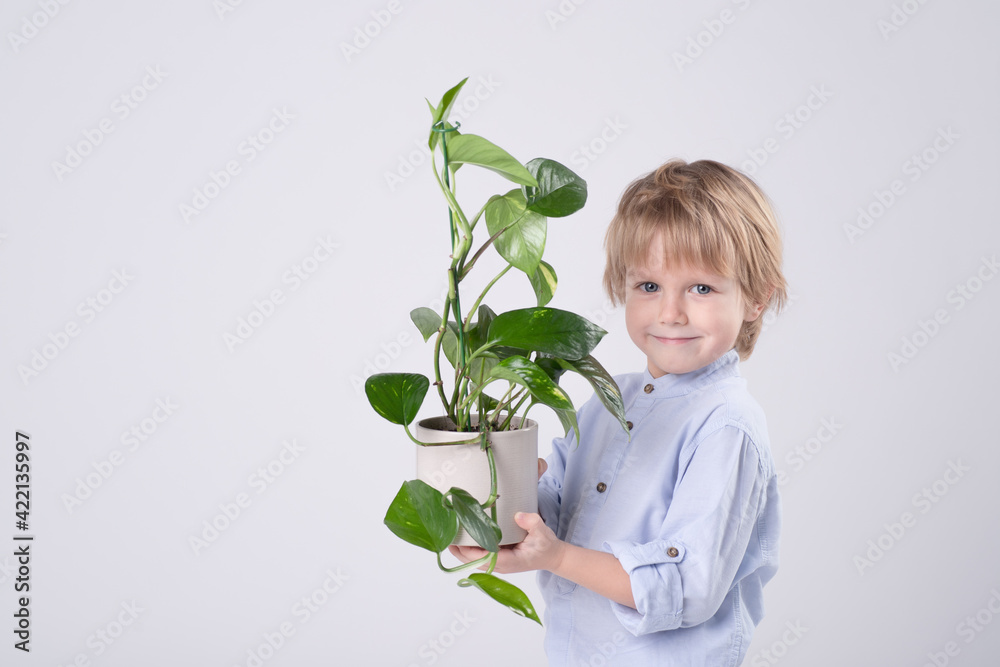 One Caucasian blond child holding pot with green houseplant isolated on ...