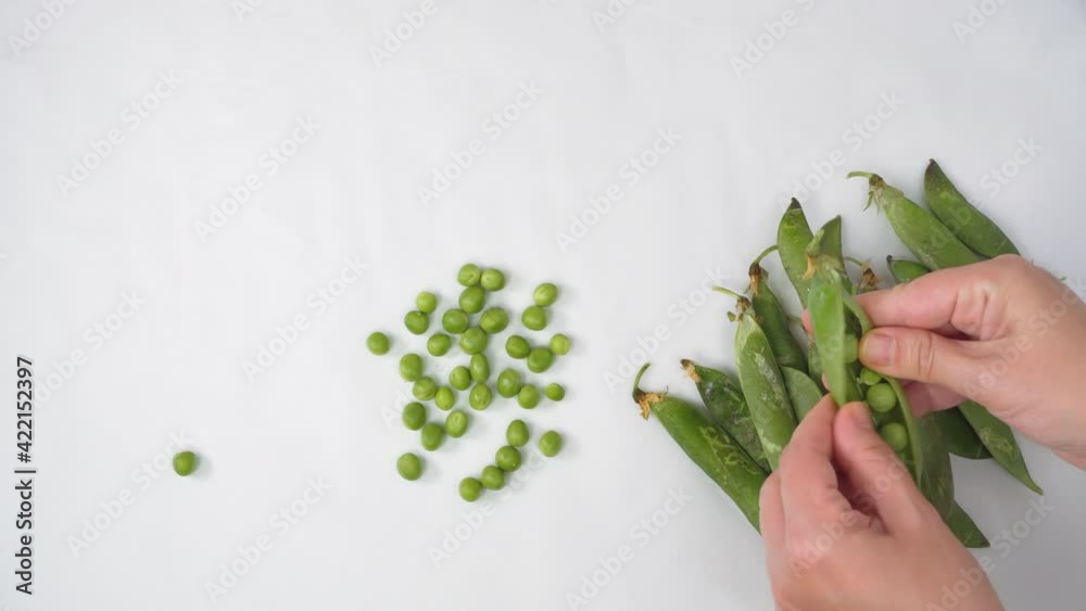 Cleaning fresh peas by hand top view, against white background. Close ...