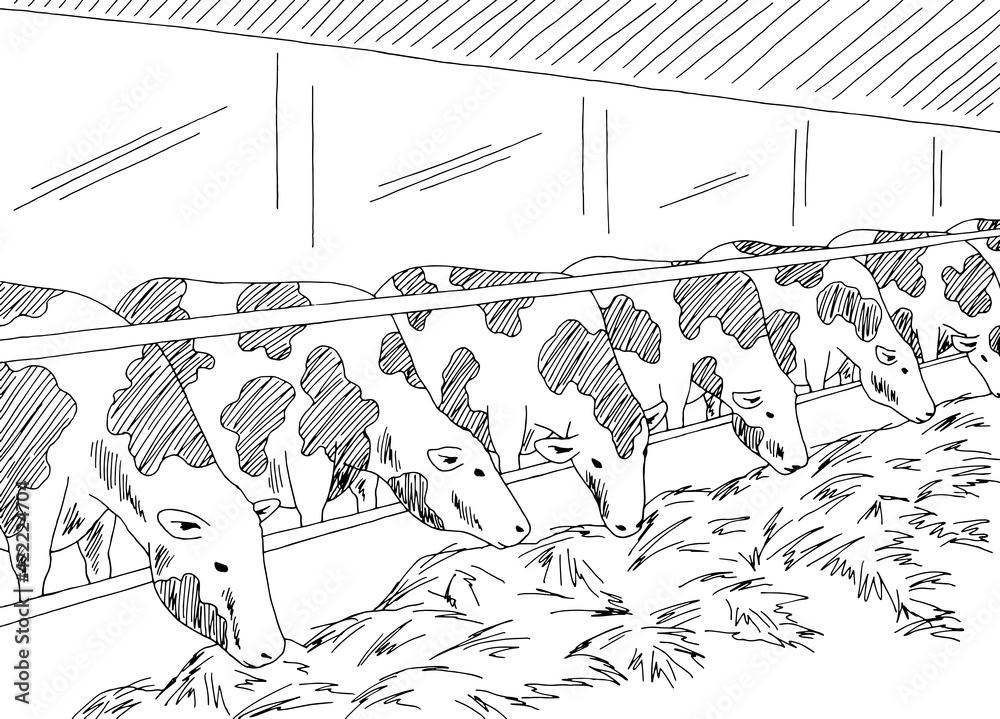 Cowshed graphic interior black white sketch illustration vector Stock ...