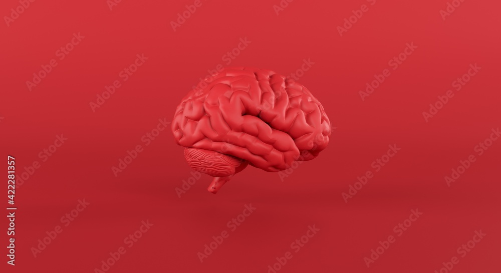 Red brain in slide view on minimal studio background, thinking, idea ...