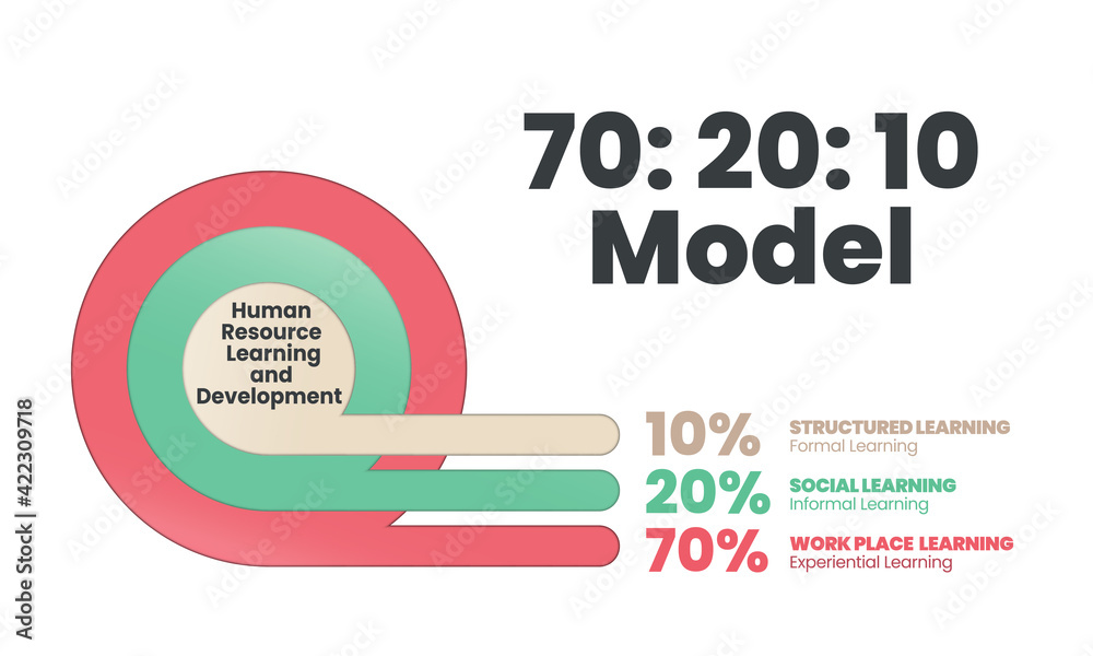 HR learning and development donut chart vector diagram is illustrated ... HR learning and development donut chart vector diagram is illustrated ...