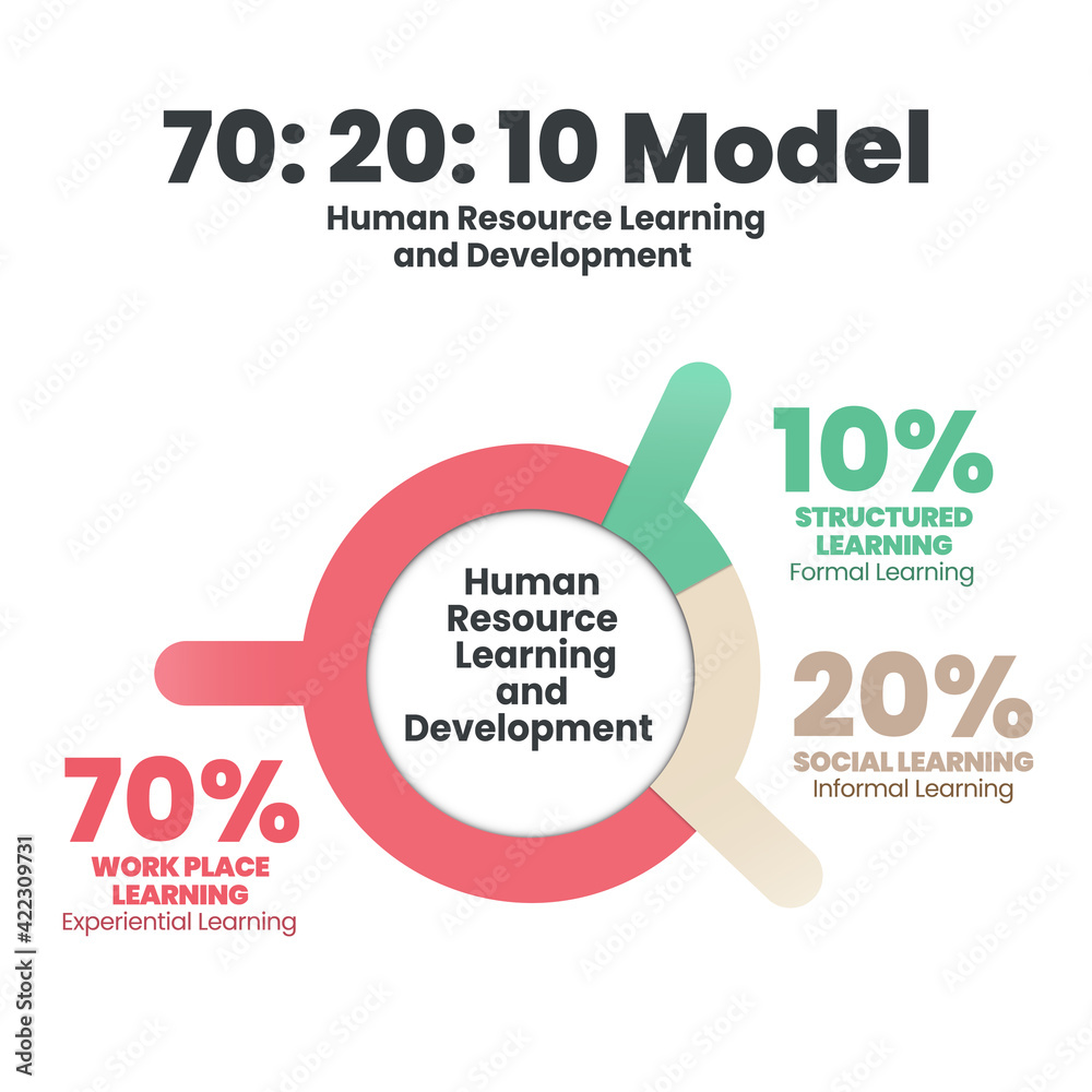 HR learning and development donut pround chart vector is illustrated 70 ... HR learning and development donut pround chart vector is illustrated 70 ...