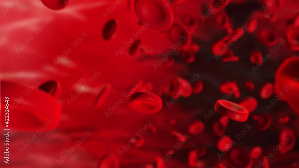 Realistic animation. red blood cells in an artery, flow inside body ...