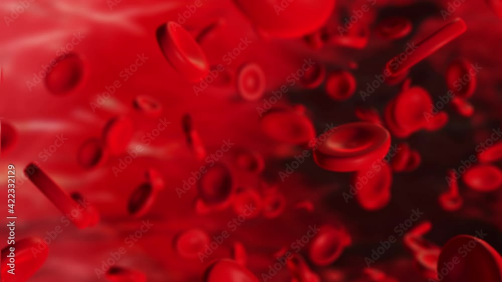 Realistic animation. red blood cells in an artery, flow inside body ...