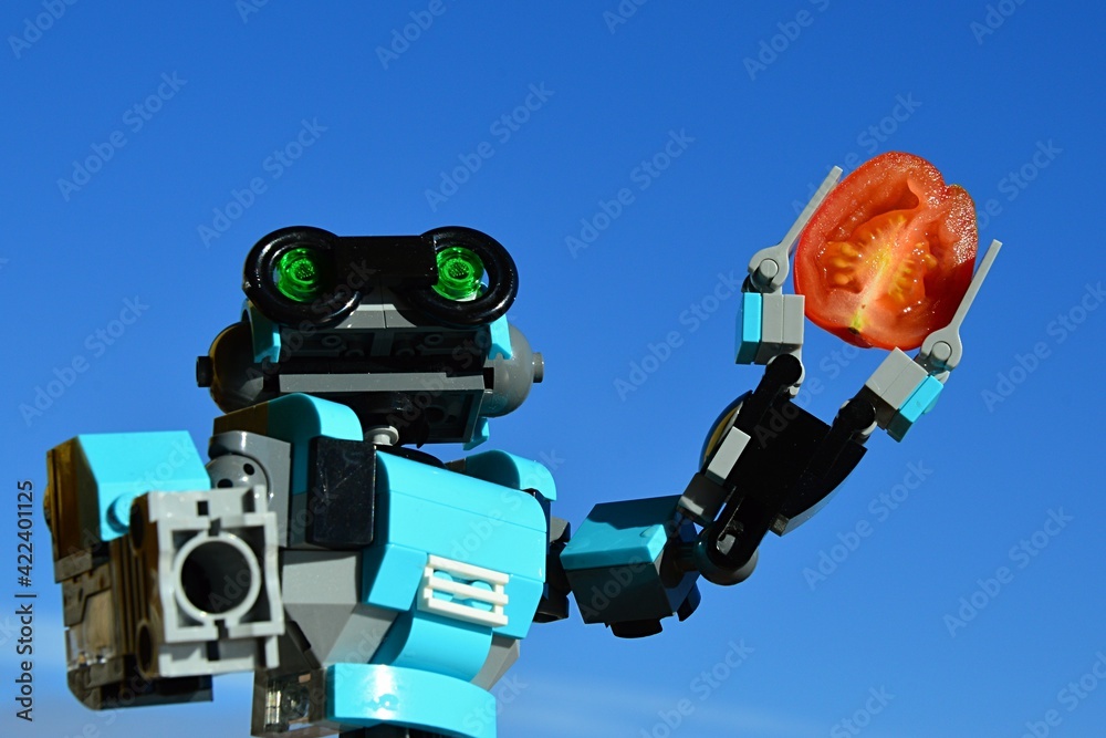 LEGO Creator blue robot holding sliced plum tomato in his raised left ...