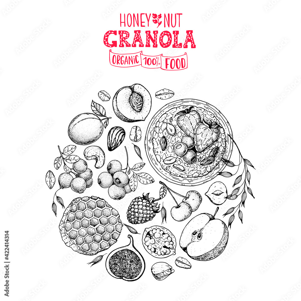Granola sketch illustration. Breakfast label. Oat flakes , berries ...