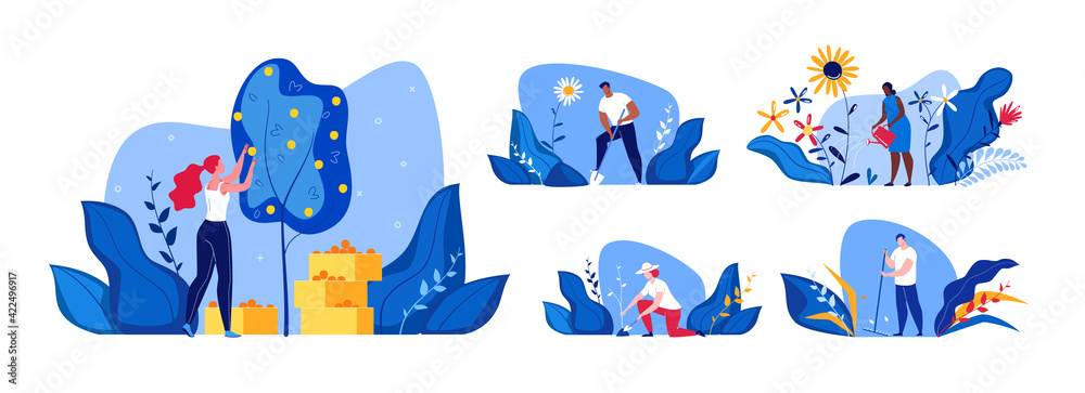 Work in the park, garden, landscape design, planting young trees ...