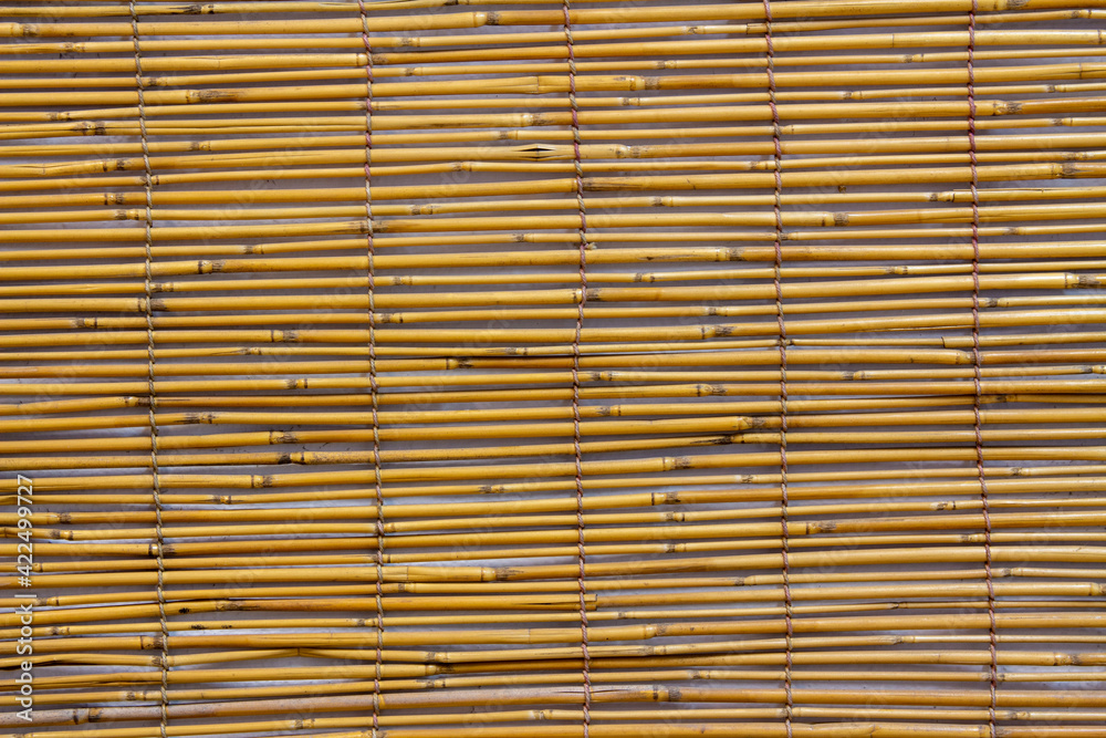 marsh reed barrier for gardens Stock Photo | Adobe Stock