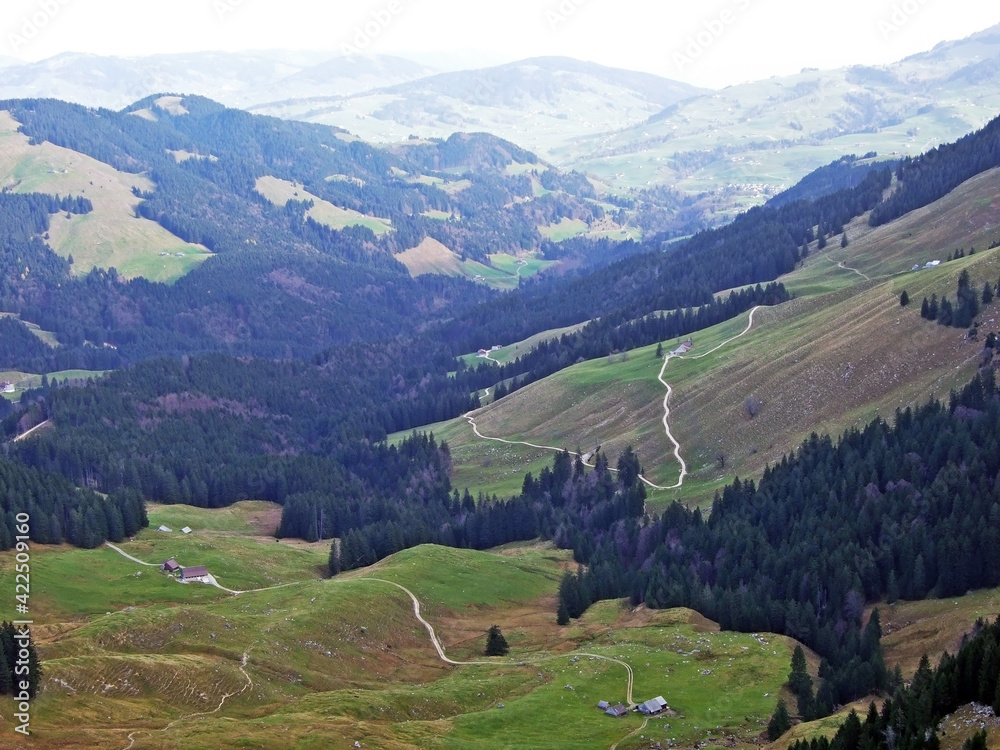 Foto de Alpine pastures and grasslands on the slopes of the Alpstein ...