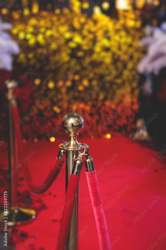 View of red carpet between ropes and golden barriers on a luxury party ...