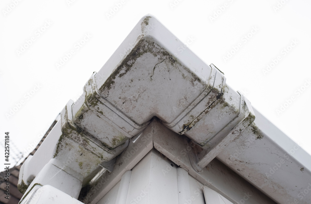 Dirty clogged white plastic pvc gutters and drain pipes with mossy ...