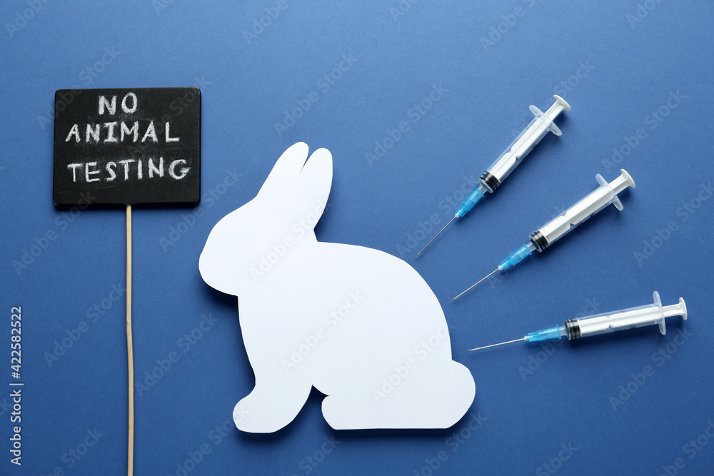 Signboard with text No Animal Testing, figure of rabbit and syringes on ...