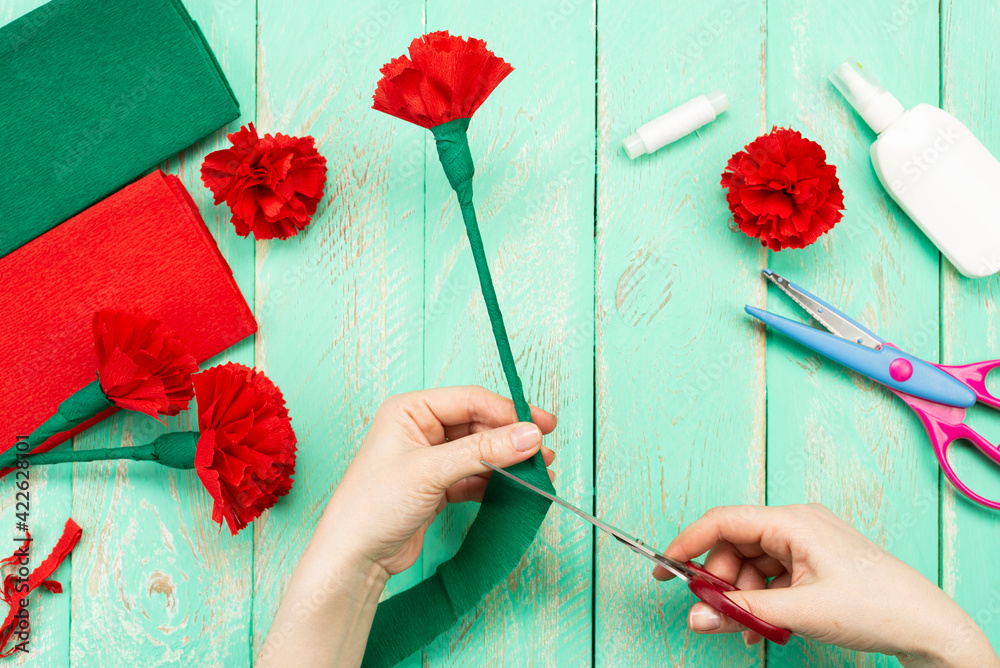 How to make a carnation flower at home. Hands make a red carnation ...