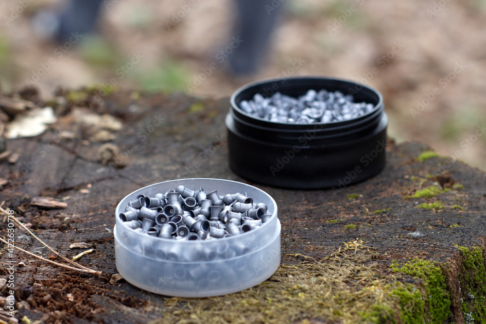 Small metal bullets for air rifle close up on old tree stump Narrow ...