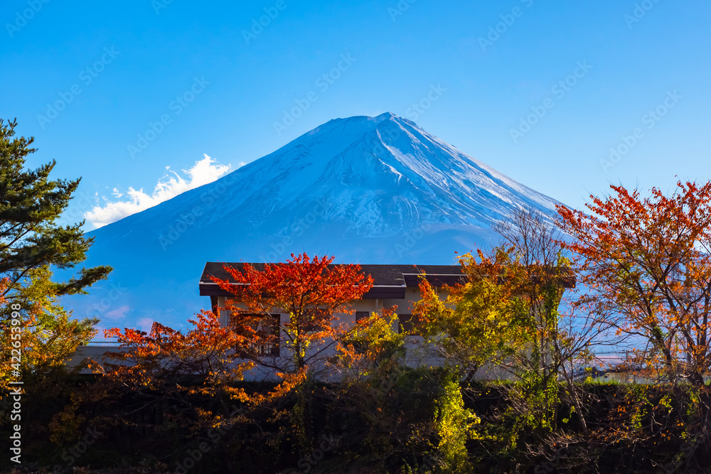 Fujiyama volcano in Japan. Snow on top of Mount Fuji. Autumn landscape ...