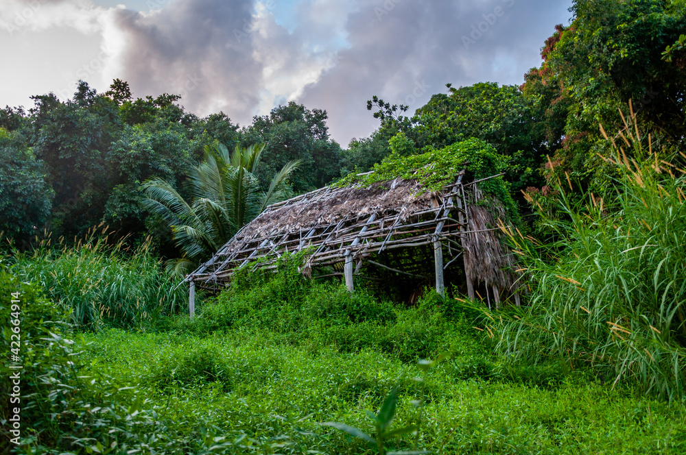 Old rundown straw hut in the jungle on the Road to Hana, Maui, Hawaii ...