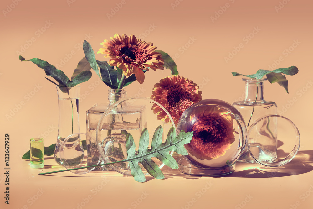 Flowers, transparent glass jars, bottles, vials. Reflections, distorted ...