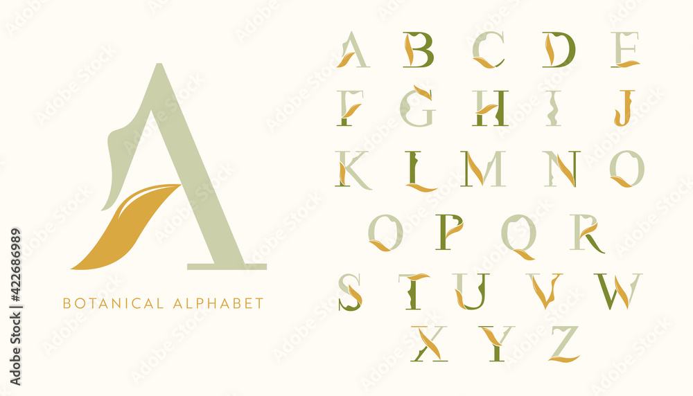 Vector Floral Alphabet with decorative leafs elements. Modern elegance ...