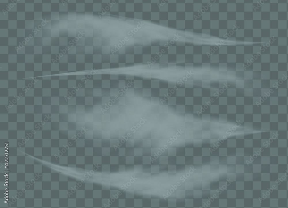 Realistic smoke on transparent background. Vector illustration with ...