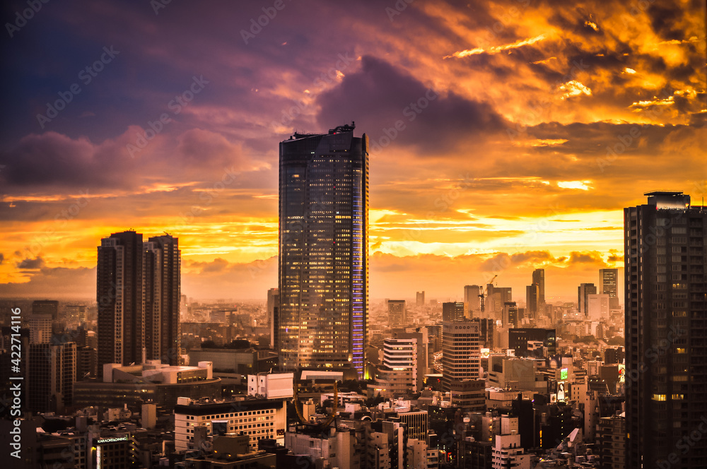 Sunset of Tokyo Skyline and the Illuminated City. Lights in Windows and ...