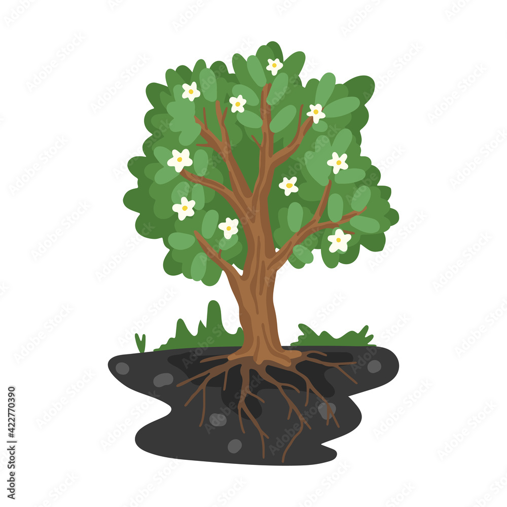 Blooming tree with roots in the ground. Sectional land. Tree growth ...