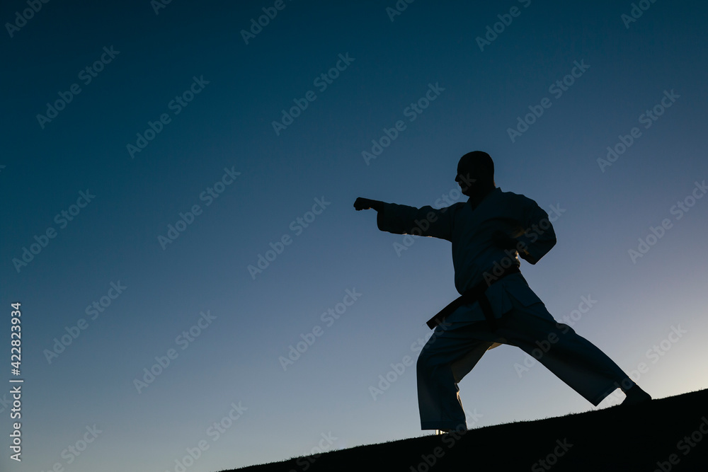 Silhouette of a man, wearing a karate kimono, throwing a punch in the ...