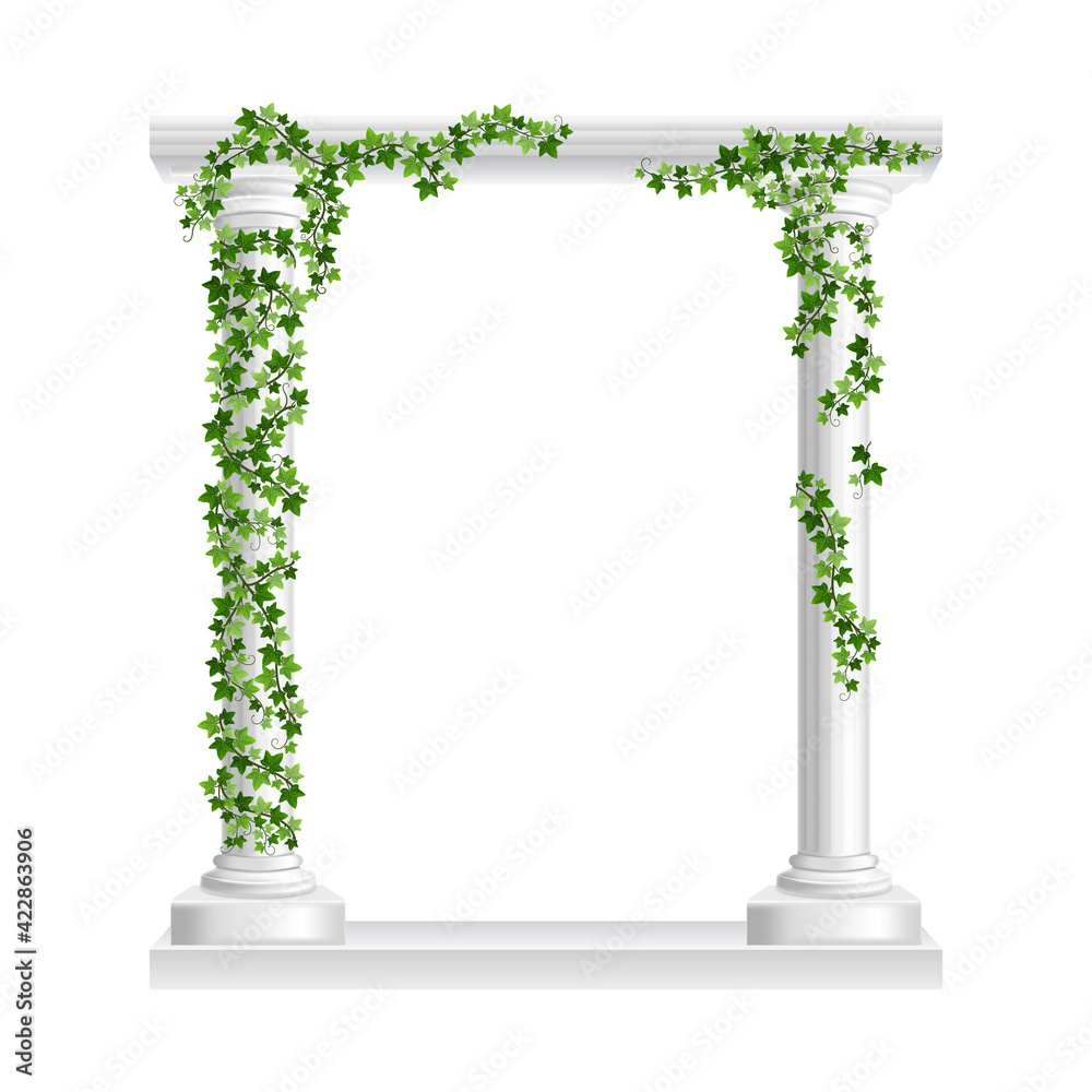Marble roman arch with columns at green ivy creeper isolated on white ...