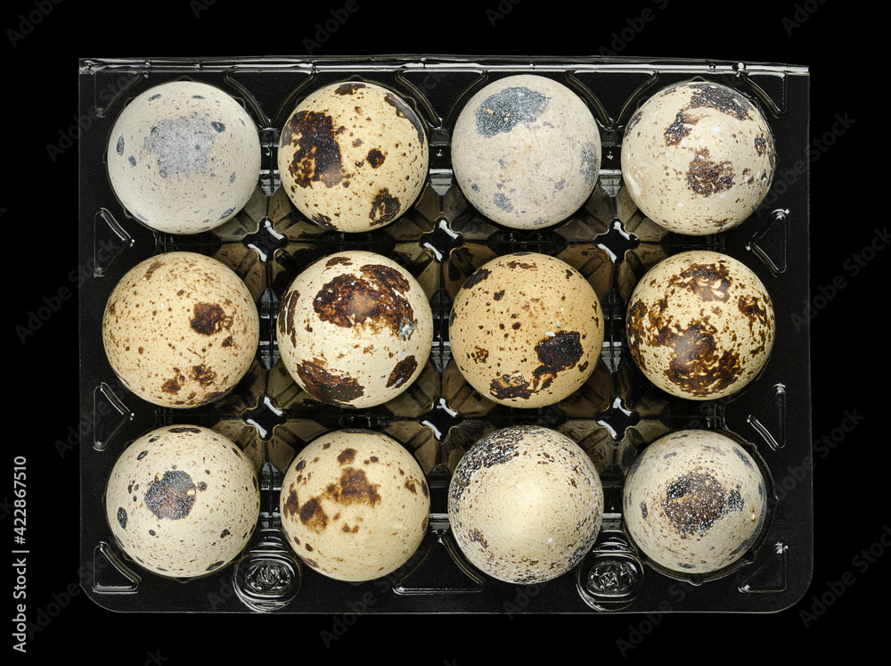 Group of twelve fresh quail eggs in a plastic egg carton, from above ...