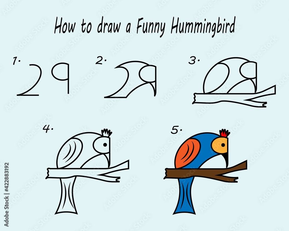 Step by step to draw a Hummingbird. Drawing tutorial a Hummingbird ...