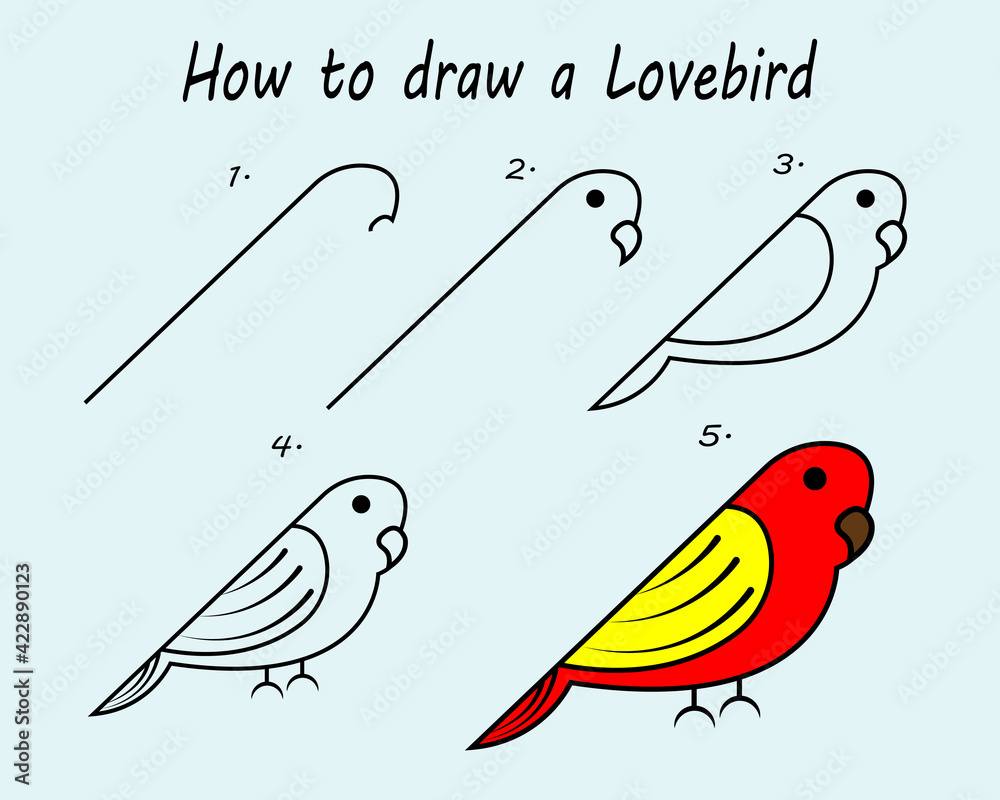 Easy Birds Drawings